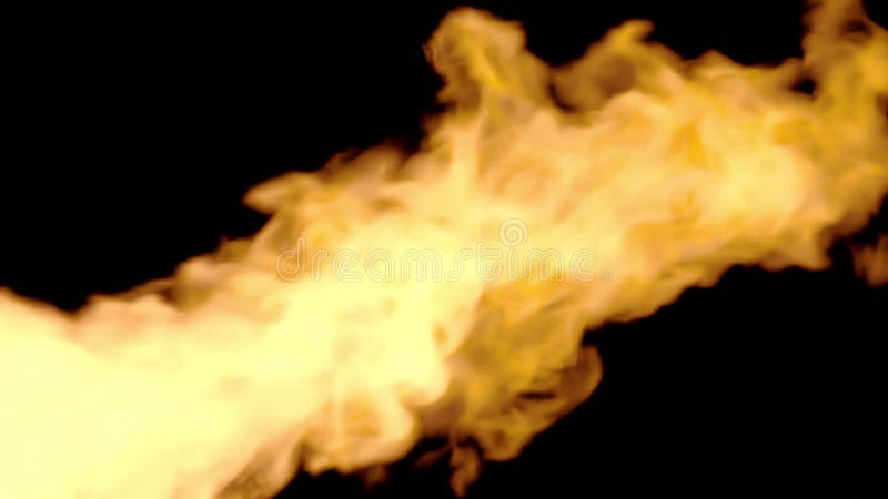 Fire Flame Realistic 3d Animation with Flash Transition To White Stock ...
