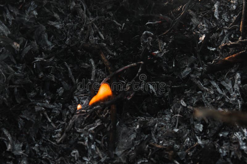 Fire, Flame and Smoke of a Fire, Bonfire on Earth Stock Photo - Image ...