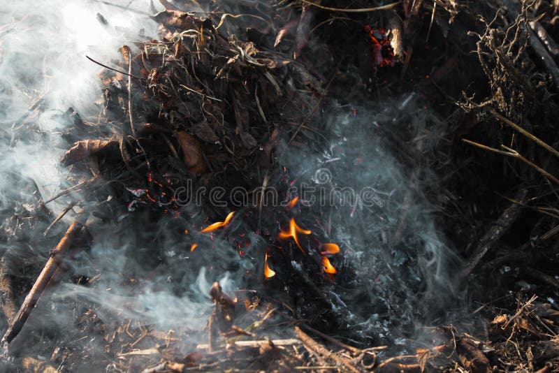 Fire, Flame and Smoke of a Fire, Bonfire on Earth Stock Photo - Image ...