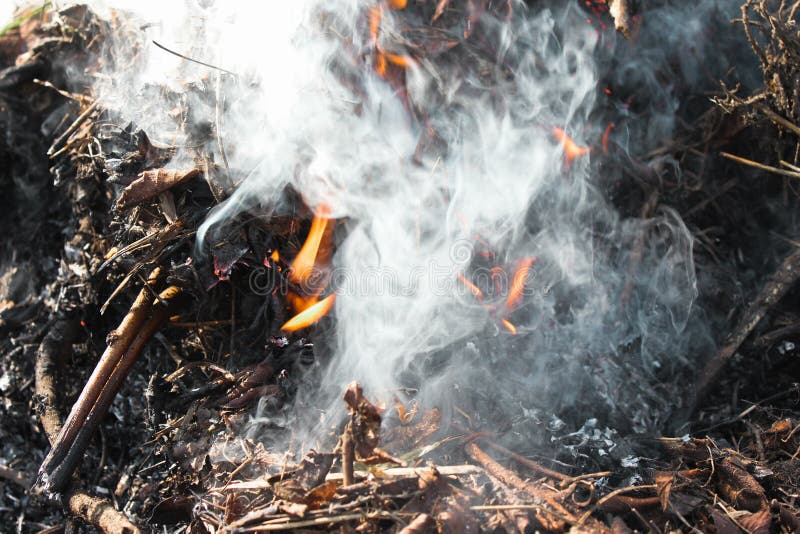 Fire, Flame and Smoke of a Fire, Bonfire on Earth Stock Photo - Image ...