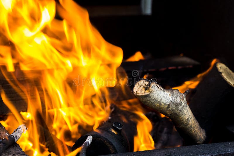 Fire Flame of a Tree. Burning Tree. Stock Image - Image of concept ...