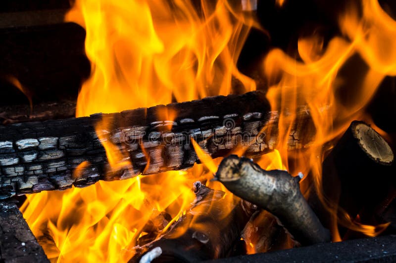 Fire Flame of a Tree. Burning Tree. Stock Image - Image of smoke ...