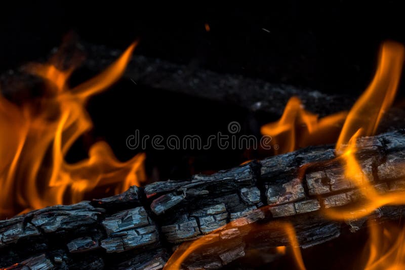 Fire Flame of a Tree. Burning Tree. Stock Image - Image of damage ...