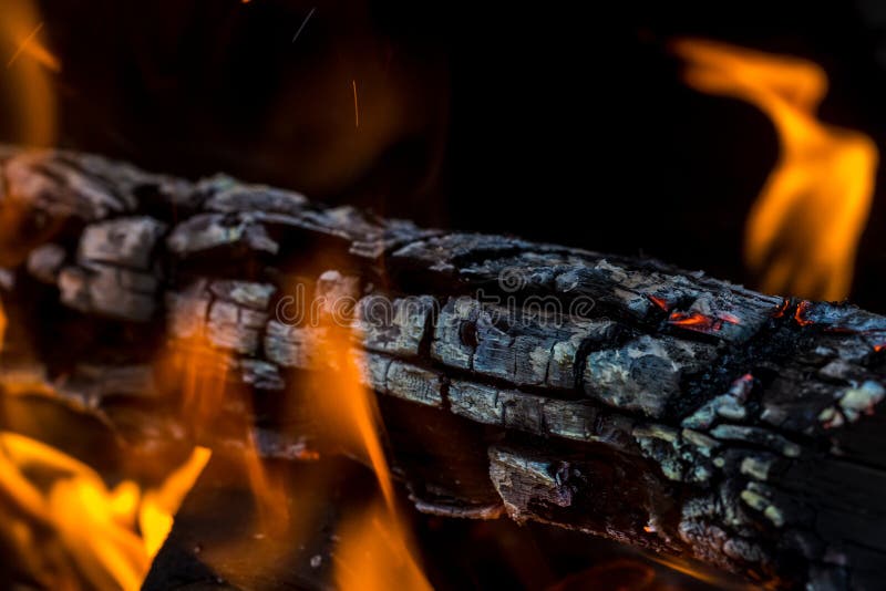 Fire Flame of a Tree. Burning Tree. Stock Photo - Image of outdoors ...