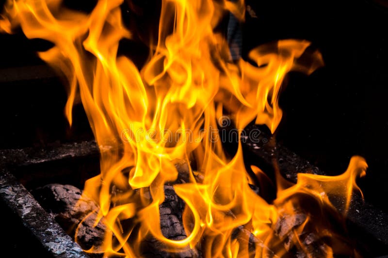Fire Flame of a Tree. Burning Tree. Stock Photo - Image of fire, heat ...
