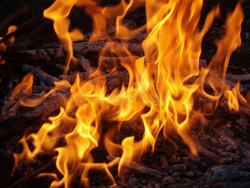 Campfire Wth Billowing Flames Stock Photo - Image of heat, peaceful: 866998