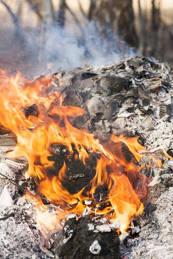 Fire Flames Around Black Tree Log Stock Photo - Image of closeup, camp ...