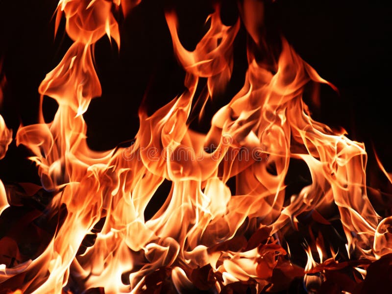 A Black Wood Wall with a White Fire Hydrant Stock Illustration ...