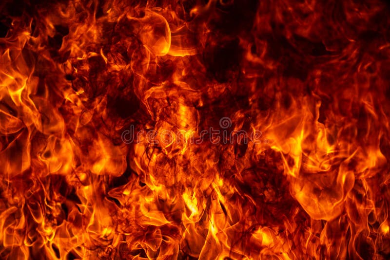Fire Flames on Black Background. Fire Burn Flame Isolated, Abstract ...