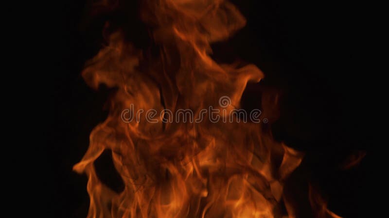 Fire Flames on Black Background. Fire Burn Flame Isolated, Abstract ...