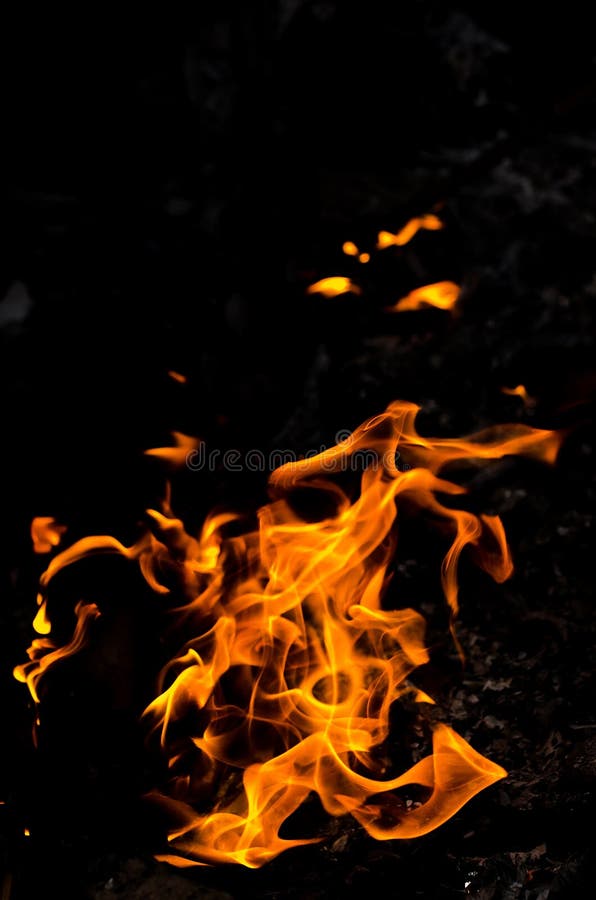 Fire Flames on Black Background. Stock Photo - Image of danger ...