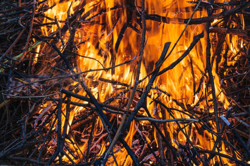 Burning branches stock image. Image of branch, black - 53984515