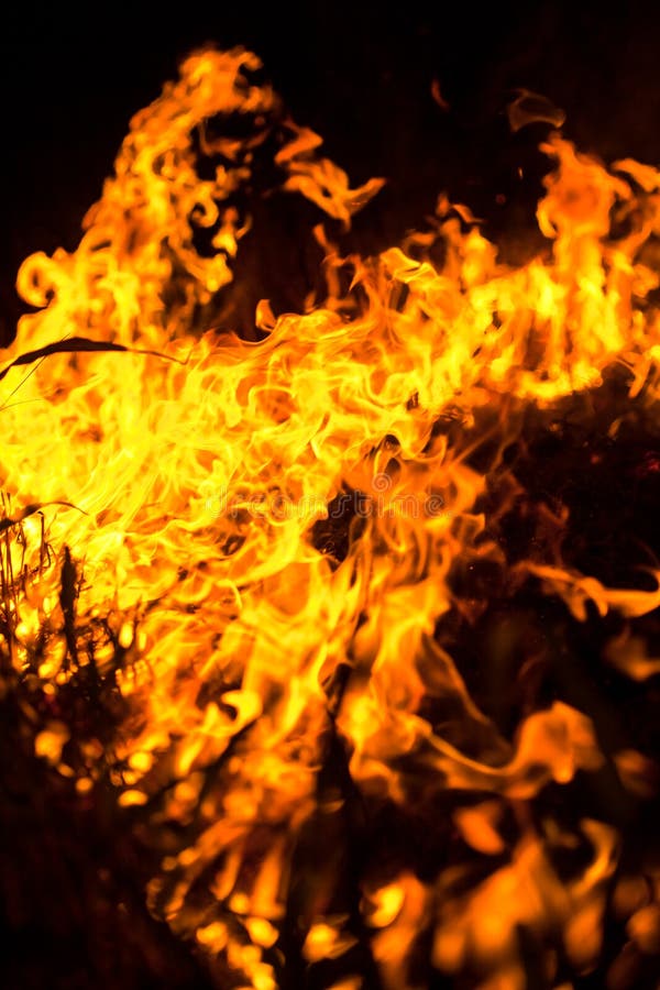 Fire flames stock photo. Image of hell, wildfire, black - 42976618