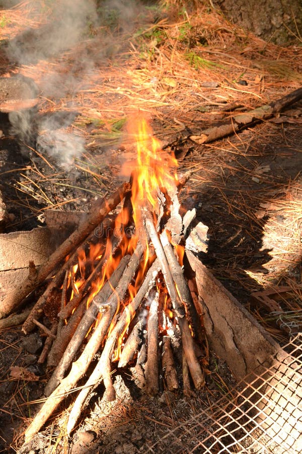 Fire Flames Dancing in the Wind Stock Photo - Image of inferno ...