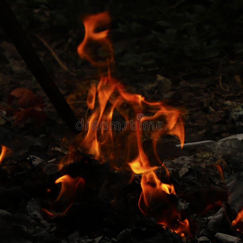 Fire Flames in the Dark Background, Rural Scene Stock Photo - Image of ...