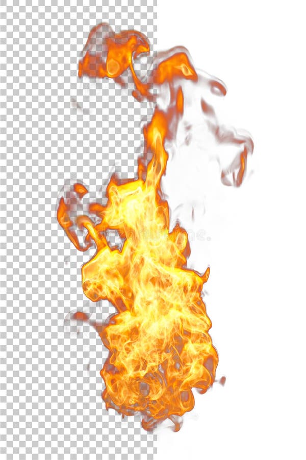 Fire Flames Looped on Transparency Background Stock Photo - Image of ...