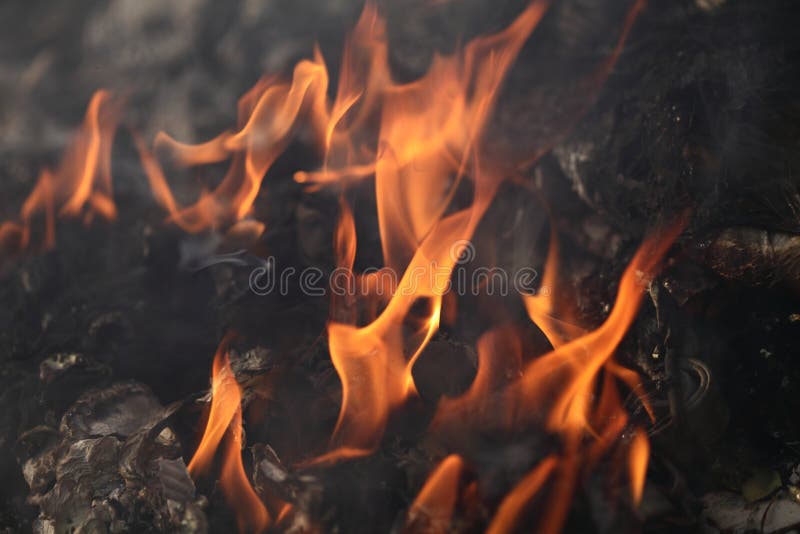 Fire flames and smoke stock photo. Image of cook, warm - 193522374