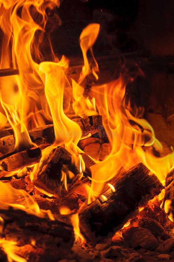 Fire Flames. Vertical Closeup Image Stock Image - Image of grate ...