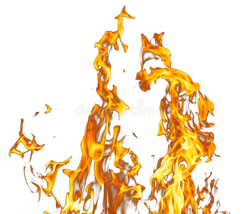 Fire Flames on a White Background Stock Image - Image of detail, danger ...
