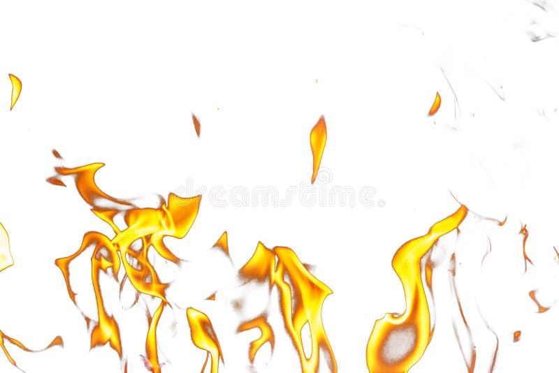 Fire Flames on a White Background Stock Photo - Image of orange ...