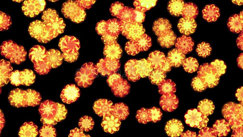 Fire Flower Floating in Air on Black Background. Shape of an Abstract ...