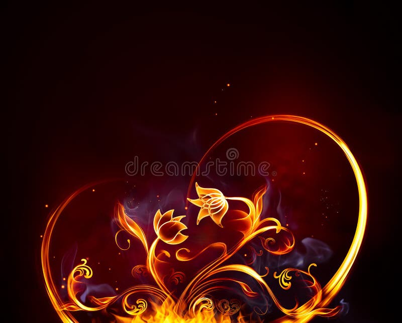 Fire Flowers Background stock illustration. Illustration of beauty ...