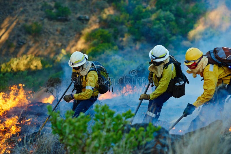 Fire, Forest and Men with Teamwork for Emergency, Disaster Management ...