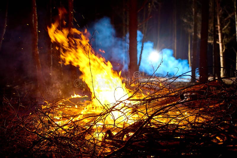 Fire in the Forest, at Night. Stock Image - Image of flame, dark: 217463717