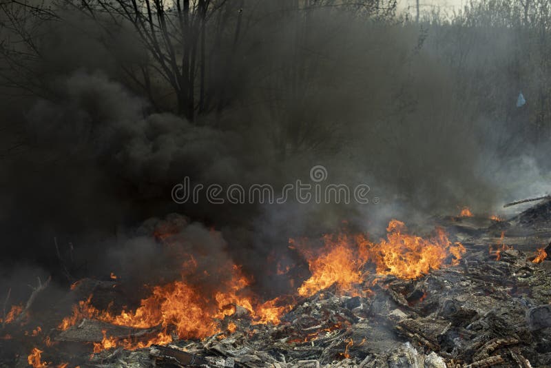 Fire in Forest. Fire and Smoke Stock Image - Image of blue, hazard ...