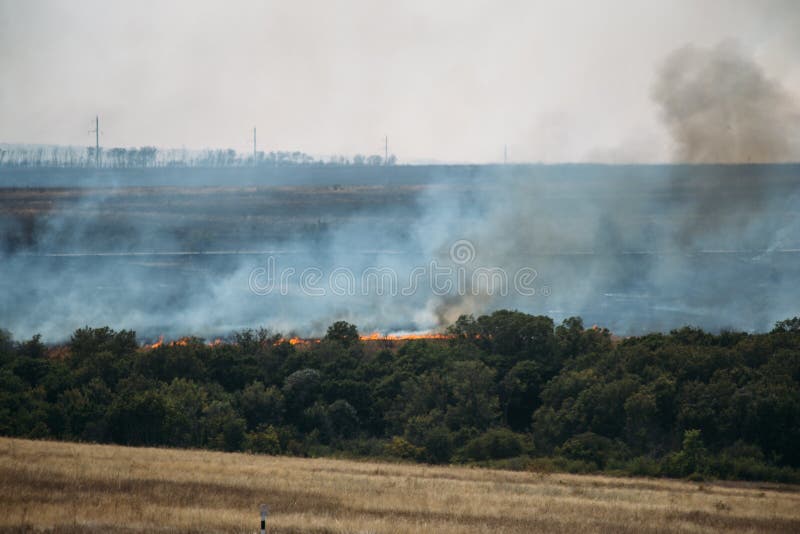 Fire in Forest, Smoke from Wildfire Stock Photo - Image of heat ...