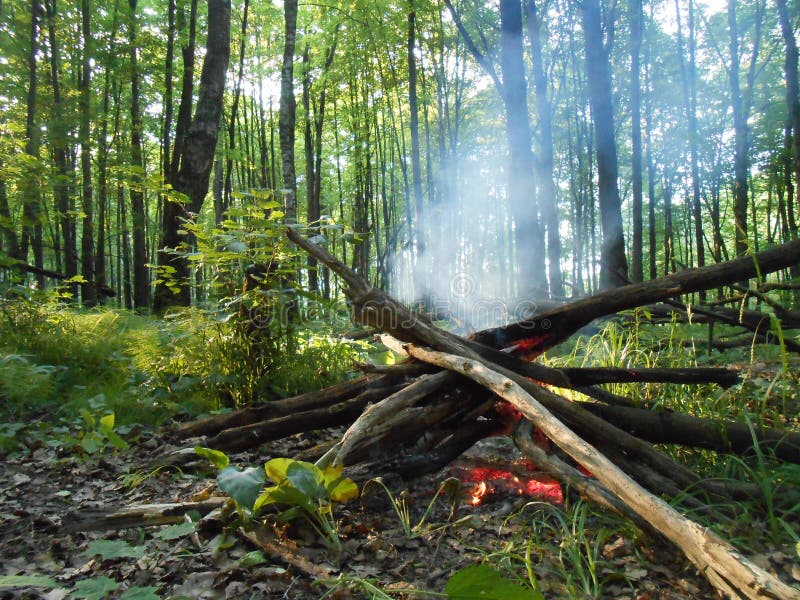 Fireplace in the Forest in Summer Evening. Stock Image - Image of trees ...