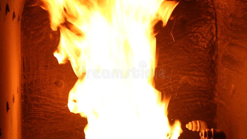 The Fire in the Furnace. Heating System Stock Footage - Video of fuel ...