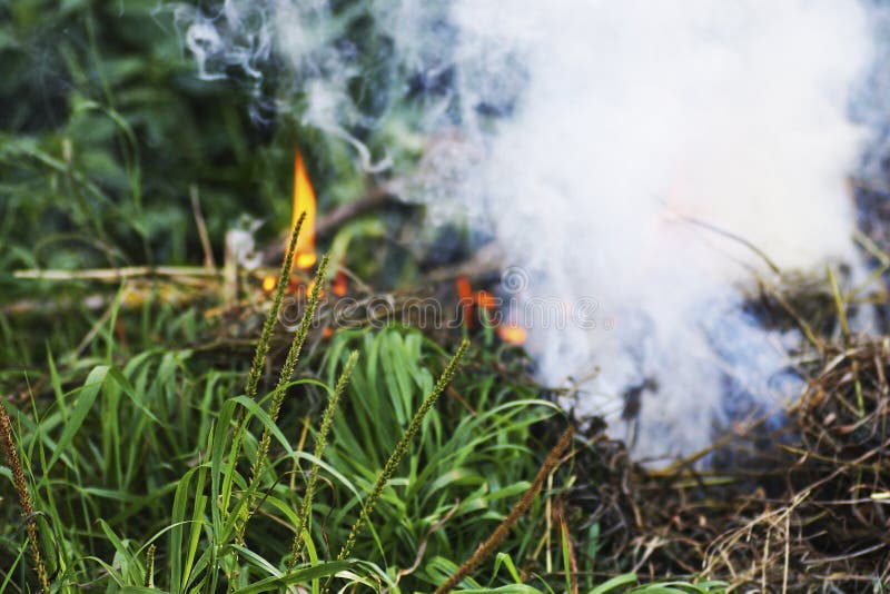 Fire in the grass stock photo. Image of land, injury - 196846136