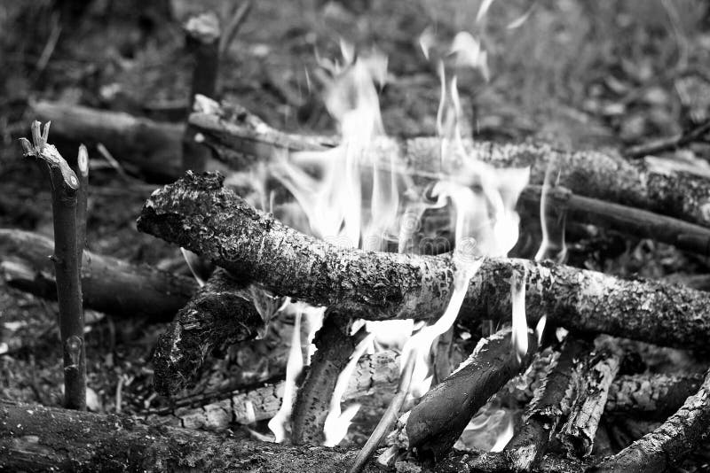 The Fire on the Grass. a Monochrome Image. Stock Photo - Image of camp ...
