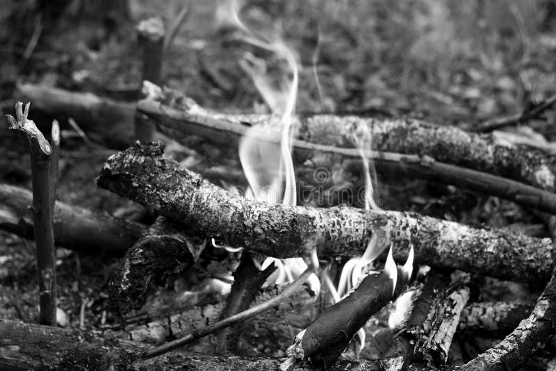 The Fire on the Grass. a Monochrome Image. Stock Image - Image of dark ...
