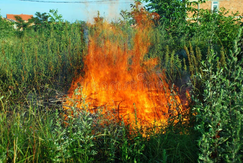 Fire in green grass stock image. Image of green, house - 8163405