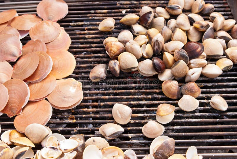 Fire Grilled Seashell on Bbq Stock Photo - Image of grilled, cooked ...