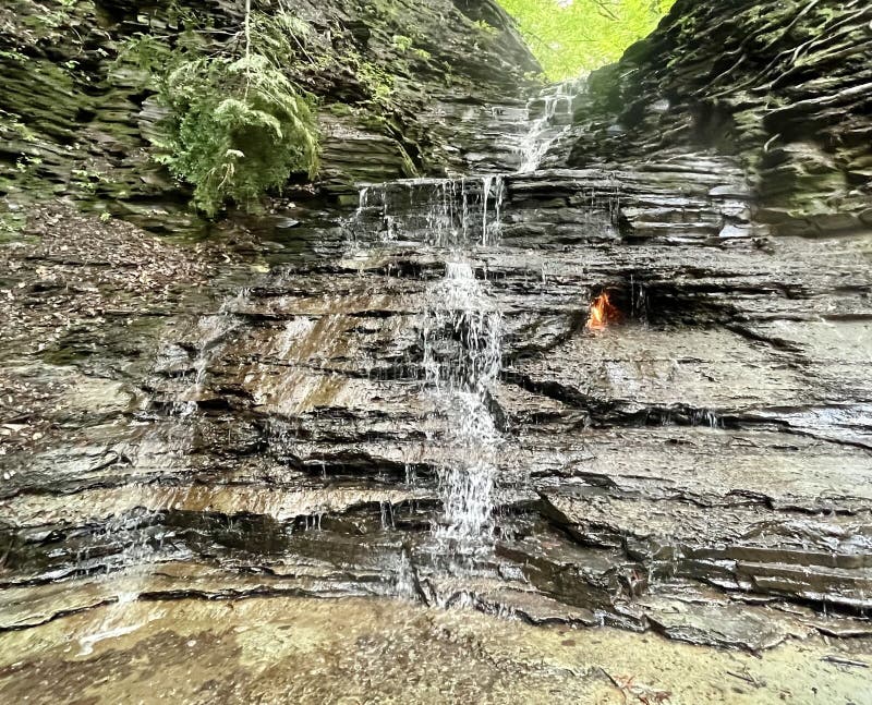 The Eternal Flame in Chestnut Ridge Park Stock Image - Image of flame ...