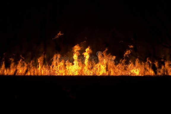 Fire on the ground stock photo. Image of flammable, dangerous - 21731348