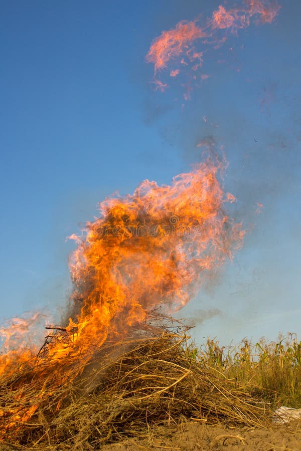 Fire of hay stock photo. Image of grass, industry, farms - 118555126