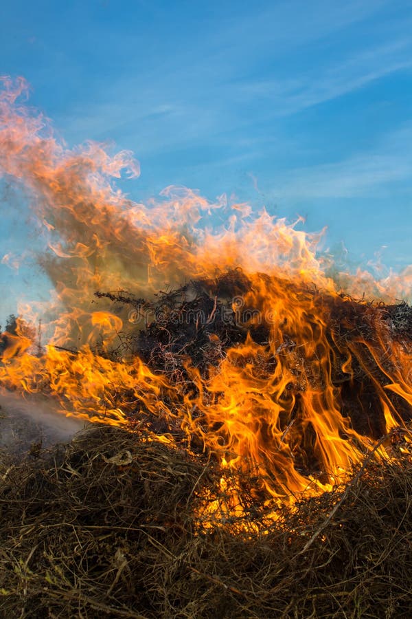 Fire hay stock image. Image of disaster, agriculture - 51185247