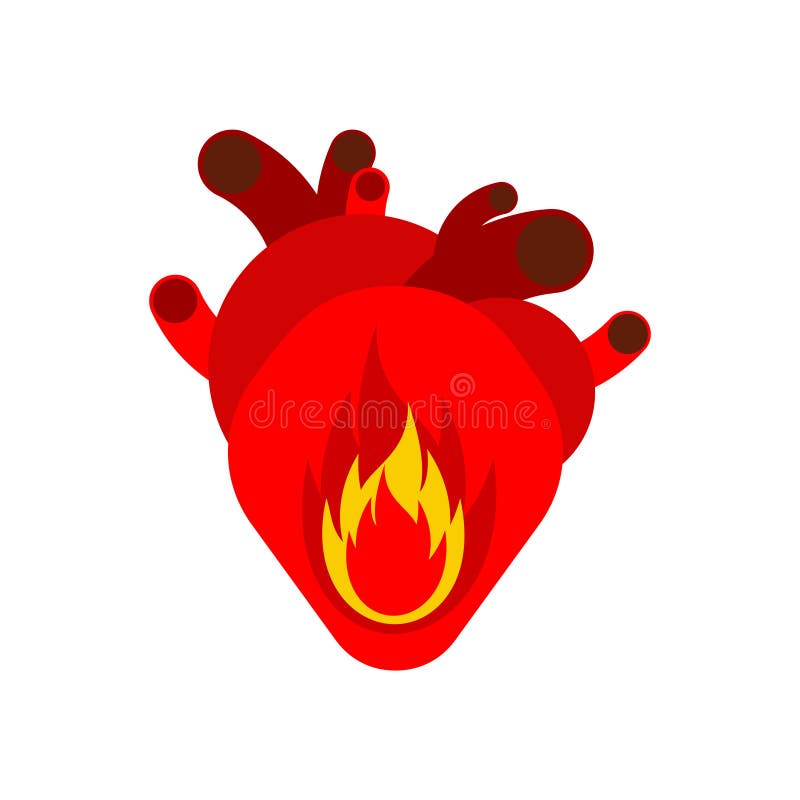 Fire in Heart. Flame in an Anatomical Heart Stock Illustration ...