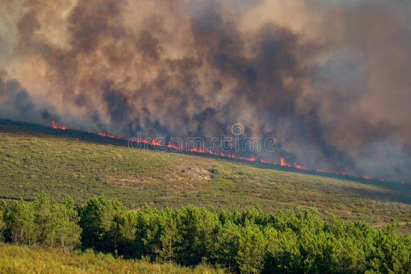 Fire in the Hillside with Dark Smoke, Long Shot Stock Image - Image of ...