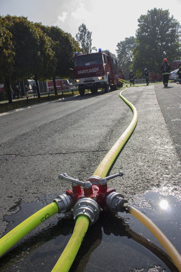 Dripping Fire Hydrant stock photo. Image of leak, butterfly - 15051756