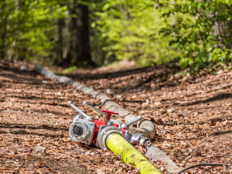Fire Hose in the Forest during a Forest Fire Stock Image - Image of ...