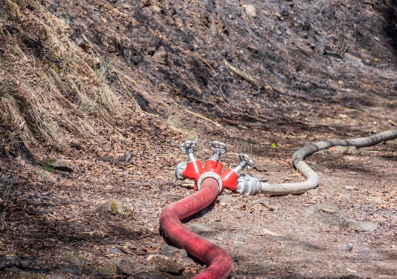 Fire Hose Forest Fire in Germany Stock Image - Image of flames, forest ...