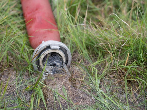 Fire hose with water editorial stock photo. Image of fireman - 73906458