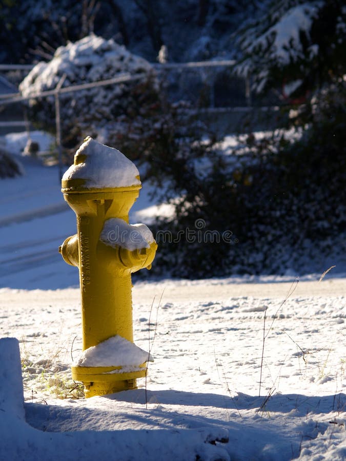 527 Fire Hydrant Snow Stock Photos - Free & Royalty-Free Stock Photos ...