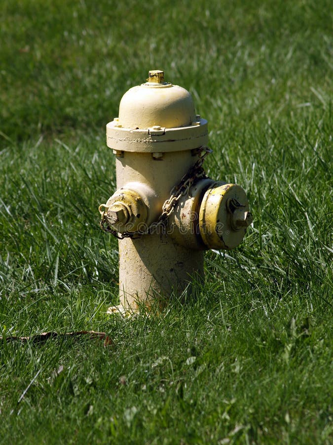 Fire Hydrant Picture. Image: 307880