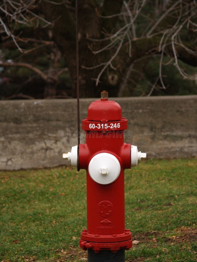 Fire Hydrant stock photo. Image of color, siren, fire, help - 370064
